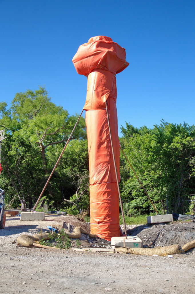 Peach Yard Fort Worth - Trinity Metro