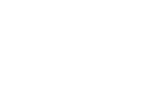 Media Kit - Trinity Metro